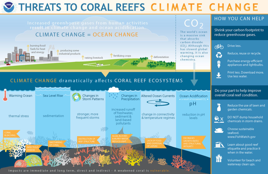 Climate Change – CORAL TRIANGLE CONSERVANCY